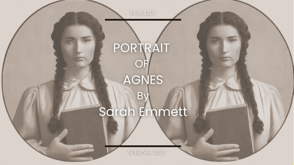 Portrait of Agnes - Dialogue Journal