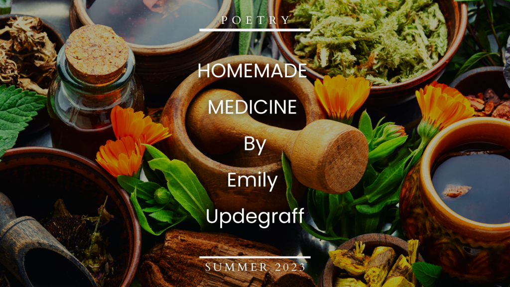 Homemade Medicine - Dialogue Journal