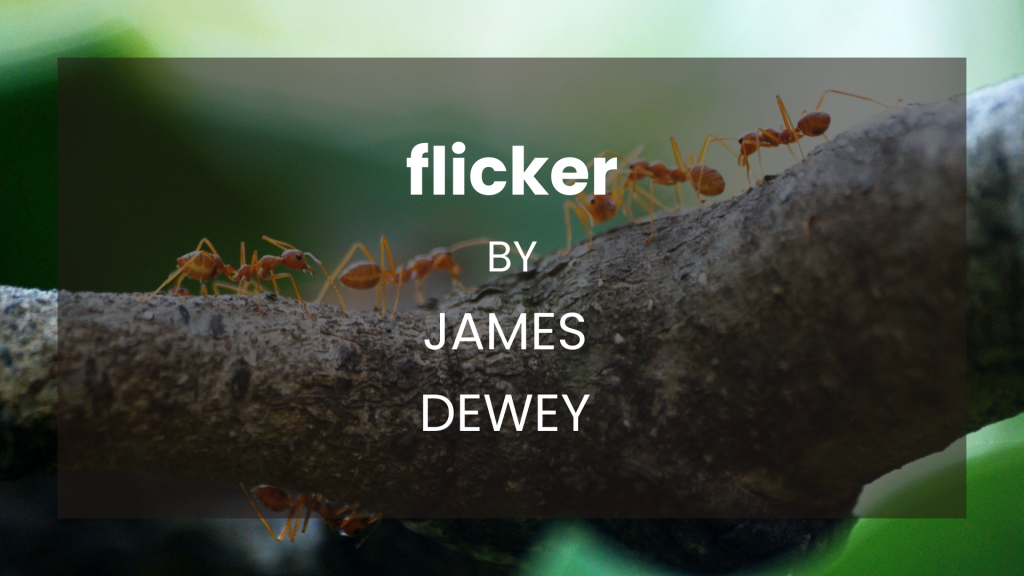 flicker - Dialogue Journal