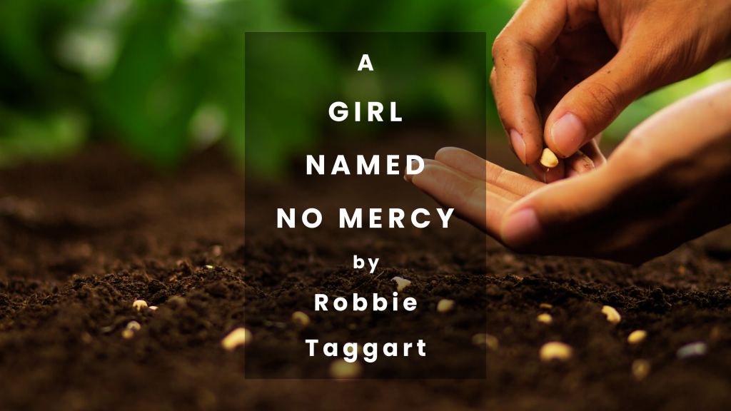 A Girl Named No Mercy - Dialogue Journal