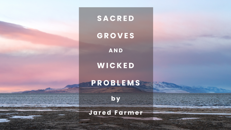 Sacred Groves and Wicked Problems - Dialogue Journal