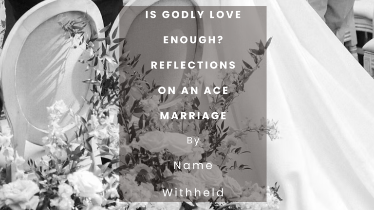 Is Godly Love Enough? Reflections on an Ace Marriage - Dialogue Journal